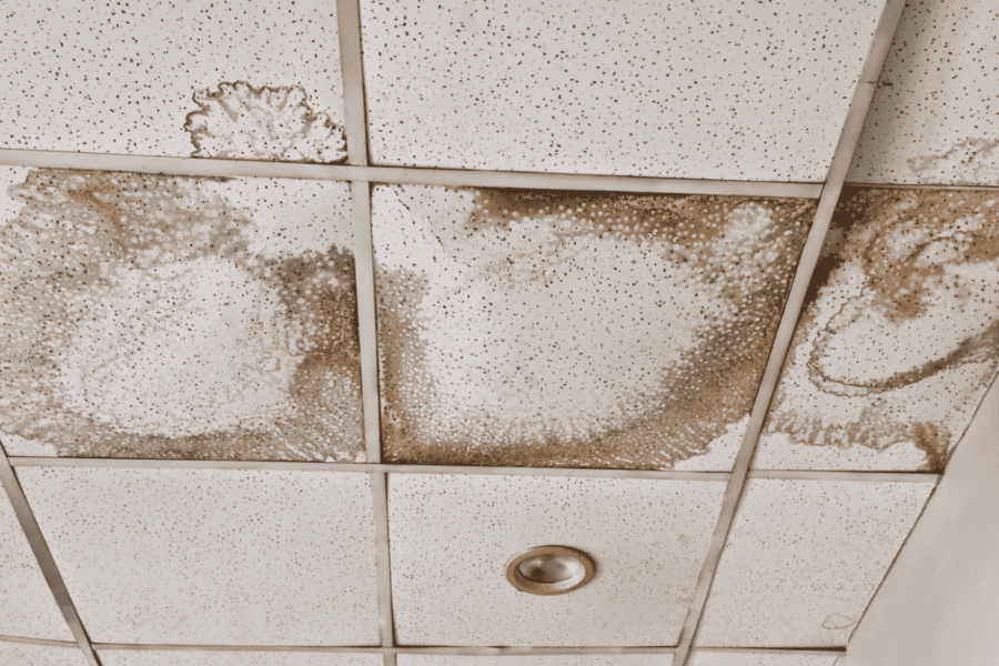10 Signs of Ceiling Water Damage | How to Spot & Fix Issues